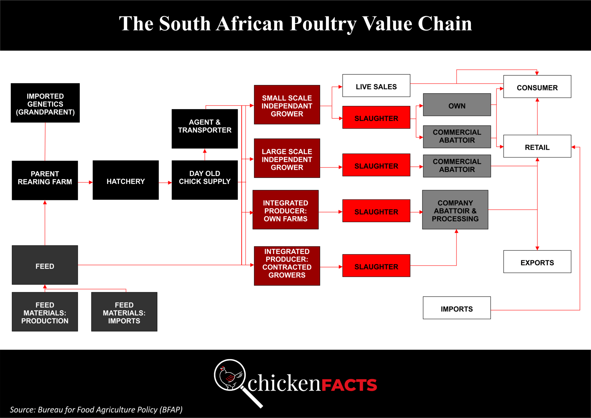 Poultry Industry Value Chain - ChickenFacts